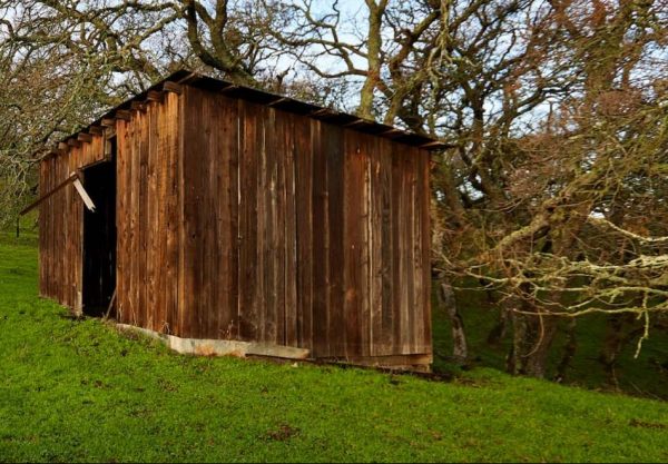 Almond Ranch - John Muir Land Trust