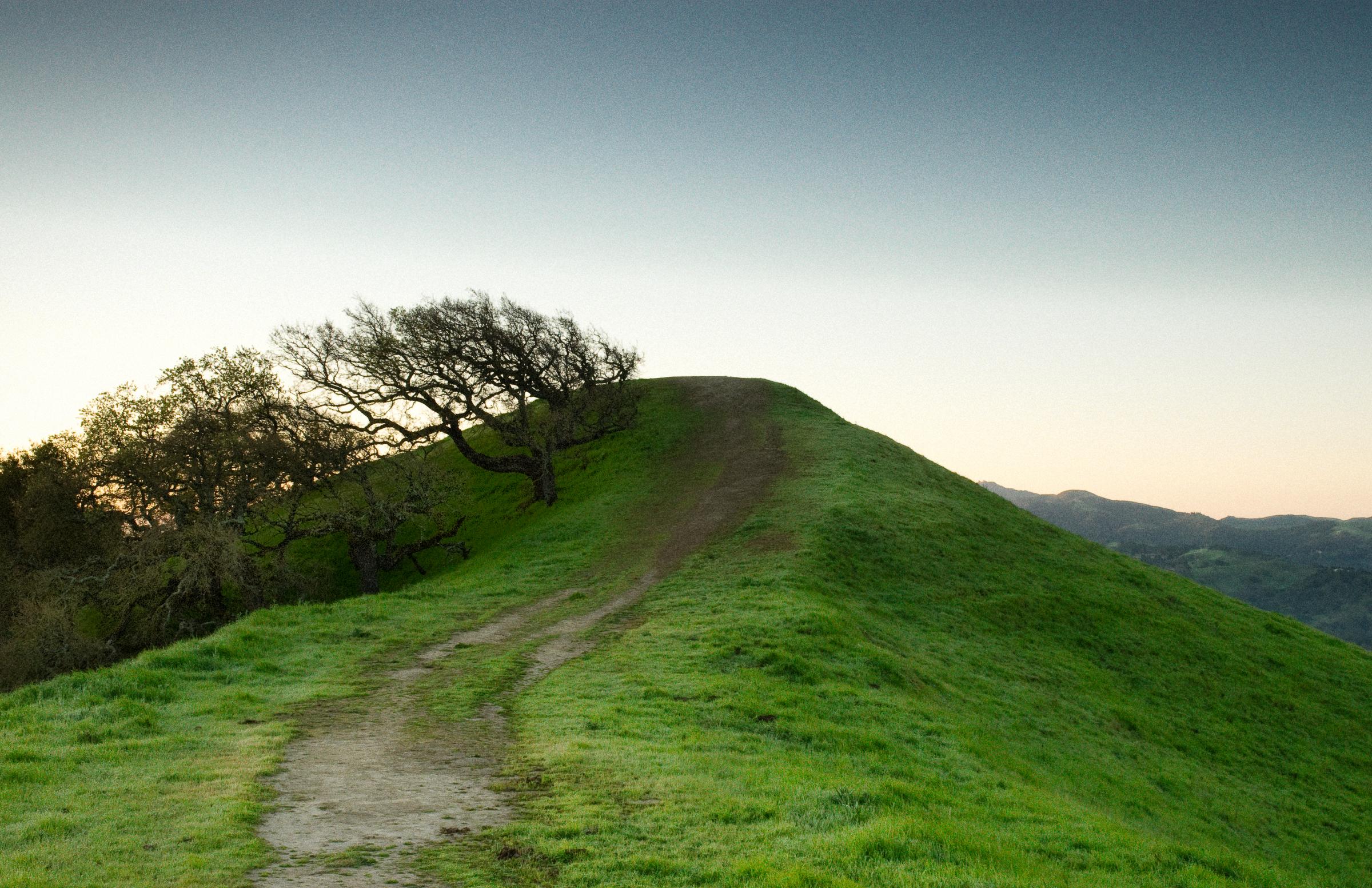 Acalanes Ridge | John Muir Land Trust