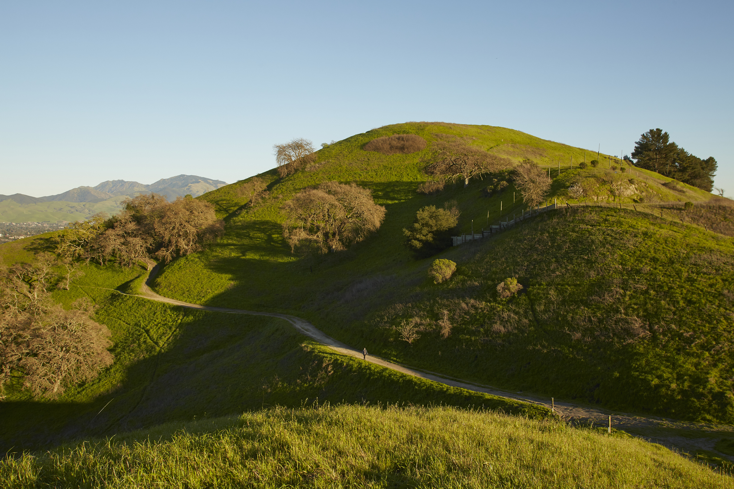 Acalanes Ridge | John Muir Land Trust