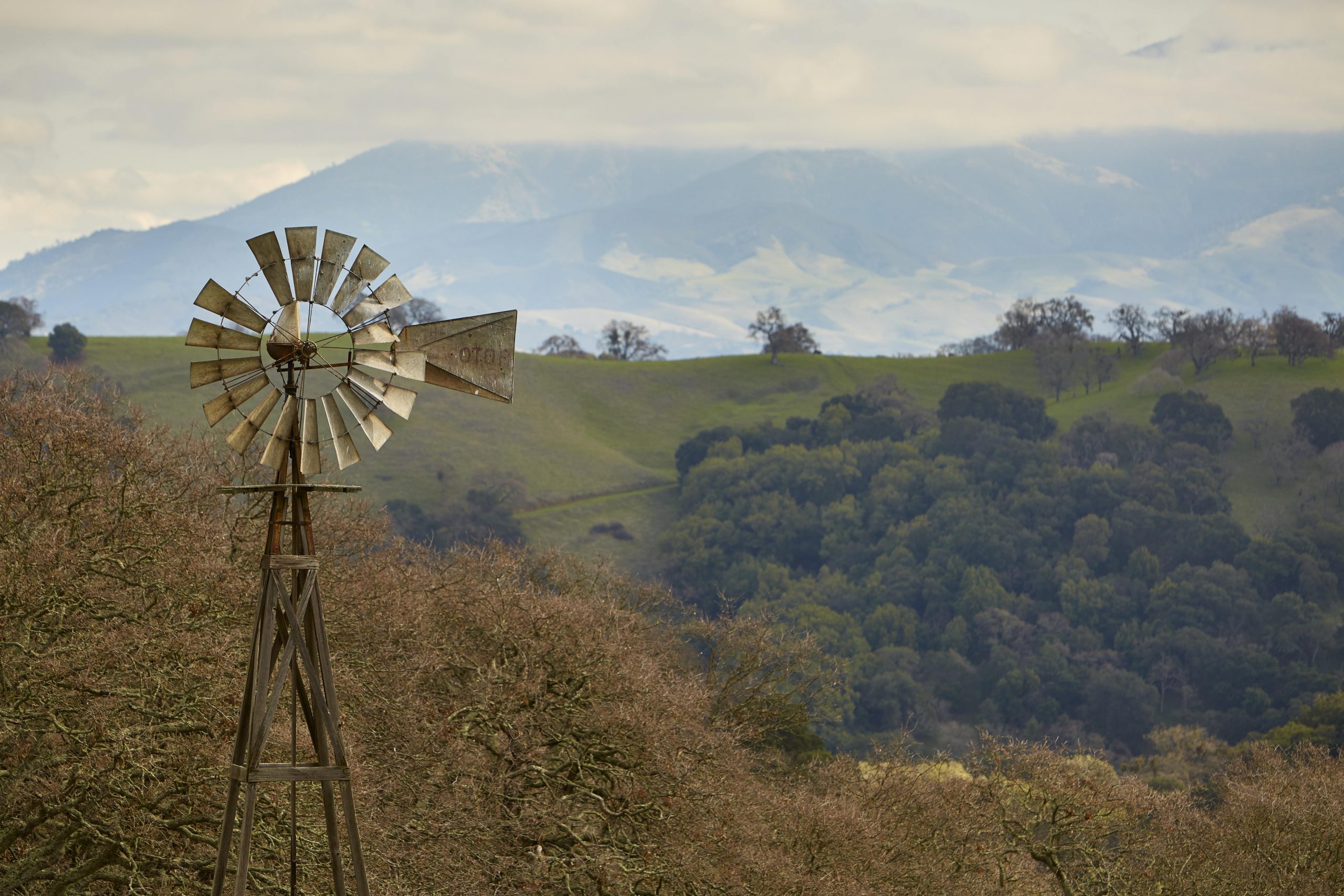 Almond Ranch - John Muir Land Trust