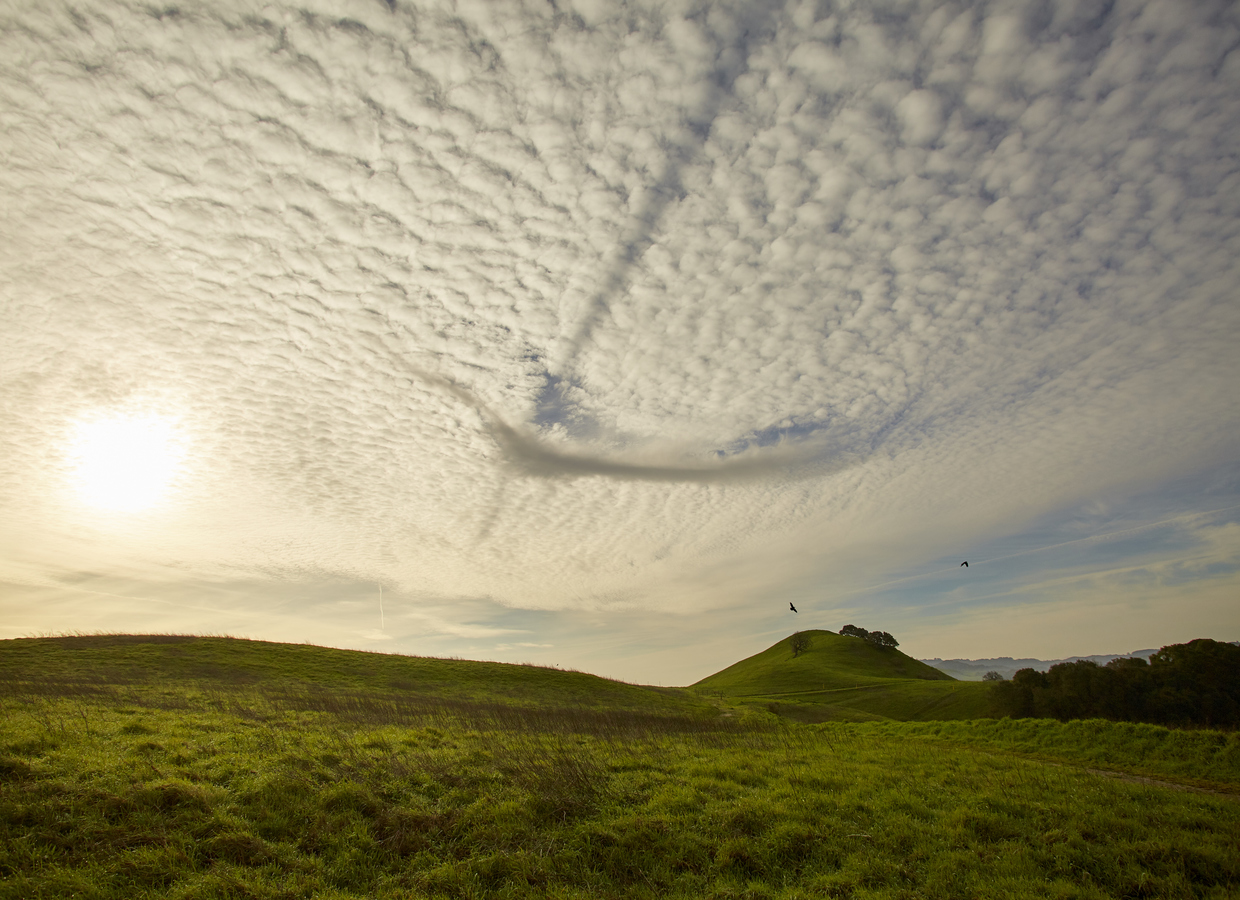 Franklin Ridge - John Muir Land Trust