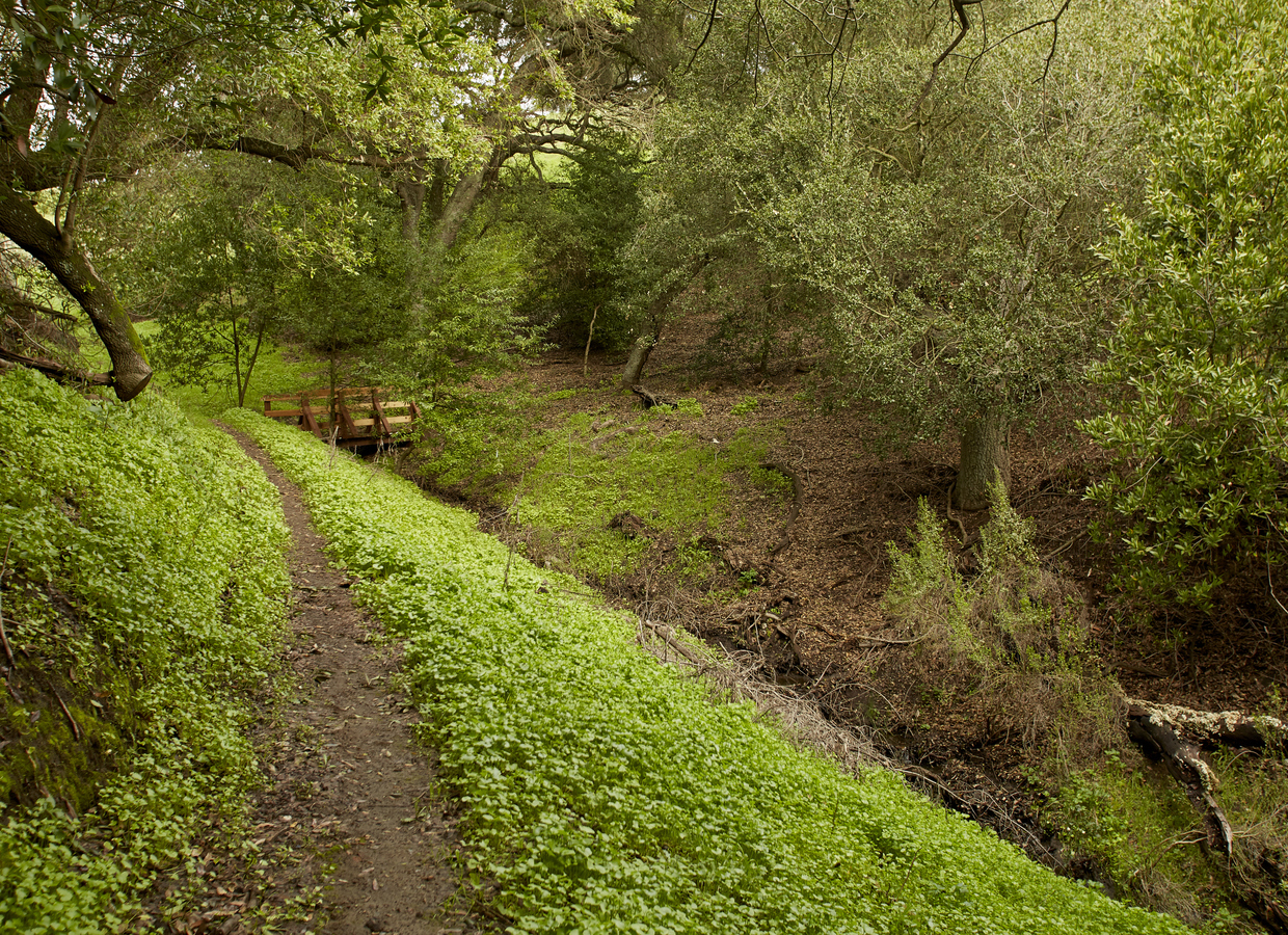 Franklin Ridge - John Muir Land Trust