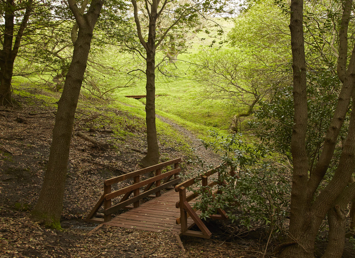 Franklin Ridge - John Muir Land Trust