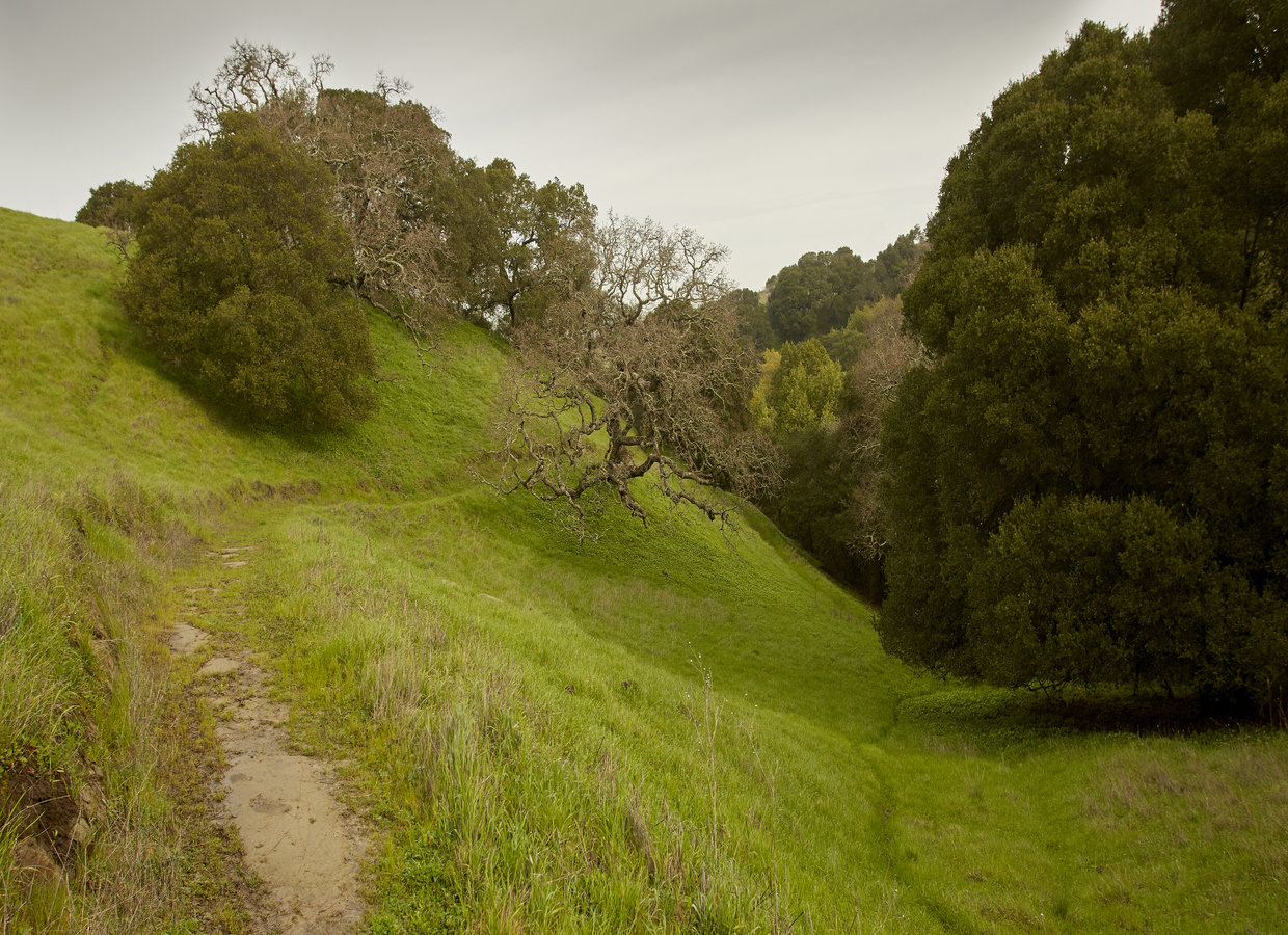 Franklin Ridge - John Muir Land Trust