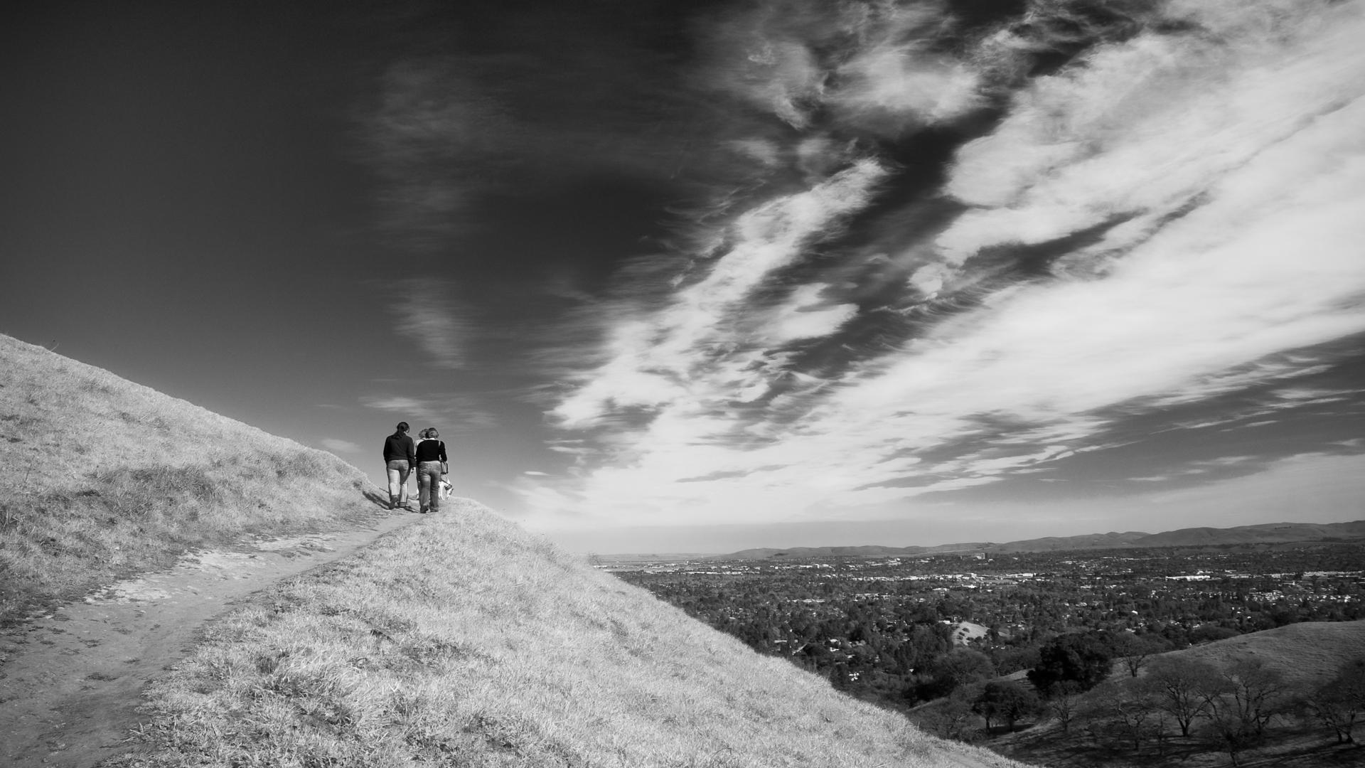Acalanes Ridge | John Muir Land Trust