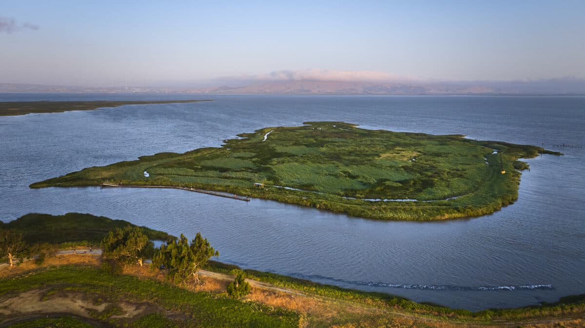 Point Buckler Island - John Muir Land Trust